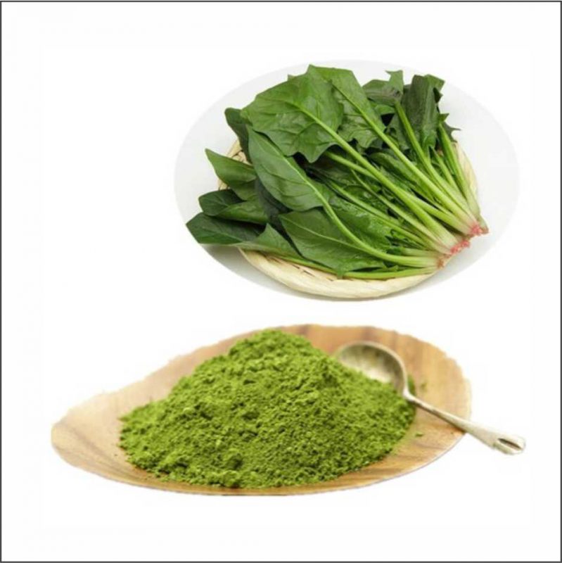 Huito en Polvo x 250g – Nutrydía Perú