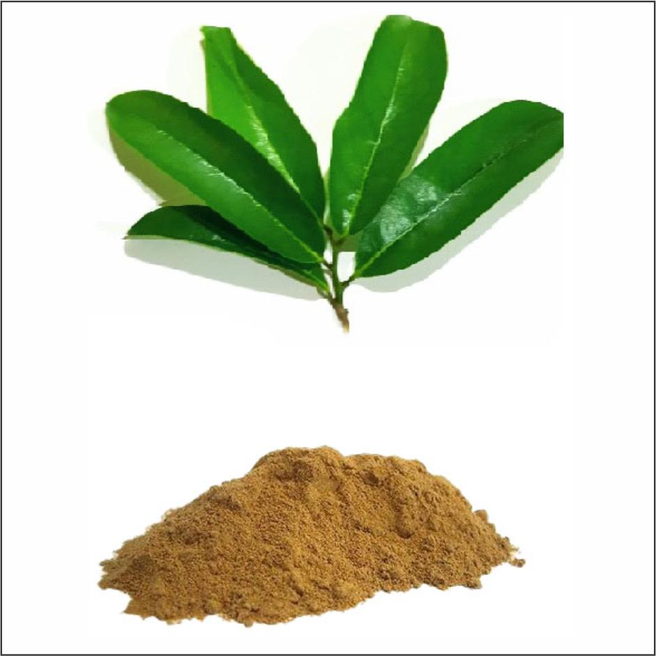 Acaí o Huasaí (Pulpa) en Polvo x 250g – Nutrydía Perú