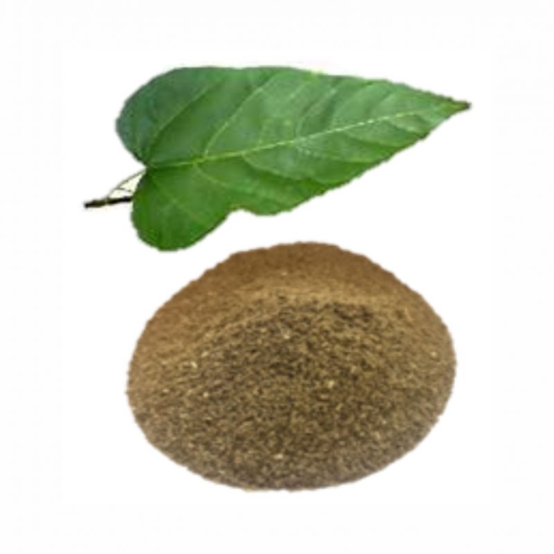 Acaí o Huasaí (Pulpa) en Polvo x 250g – Nutrydía Perú
