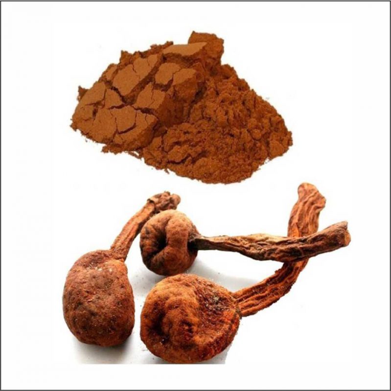 Huito en Polvo x 250gr. – Nutrydía Perú