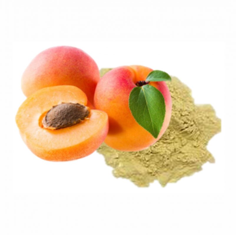 CIRUELA FRUTA en polvo x 250g – Nutrydía Perú