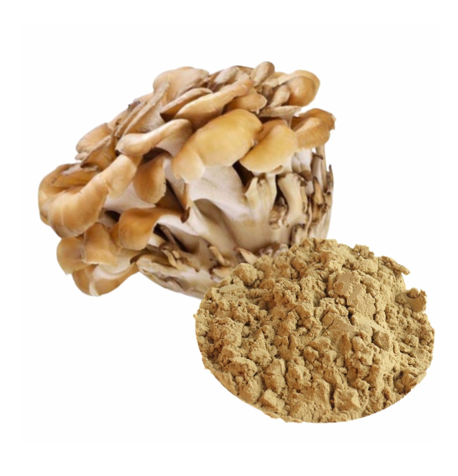MAITAKE en polvo x 250g – Nutrydía Perú