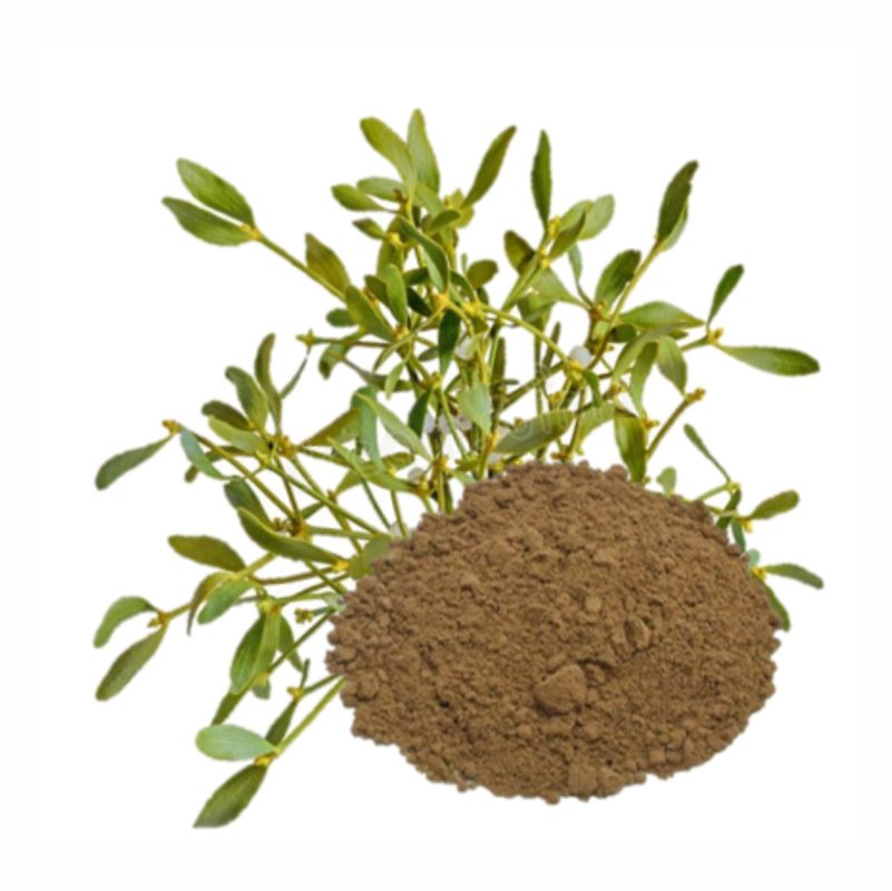 MUÉRDAGO extracto en polvo x 250g – Nutrydía Perú