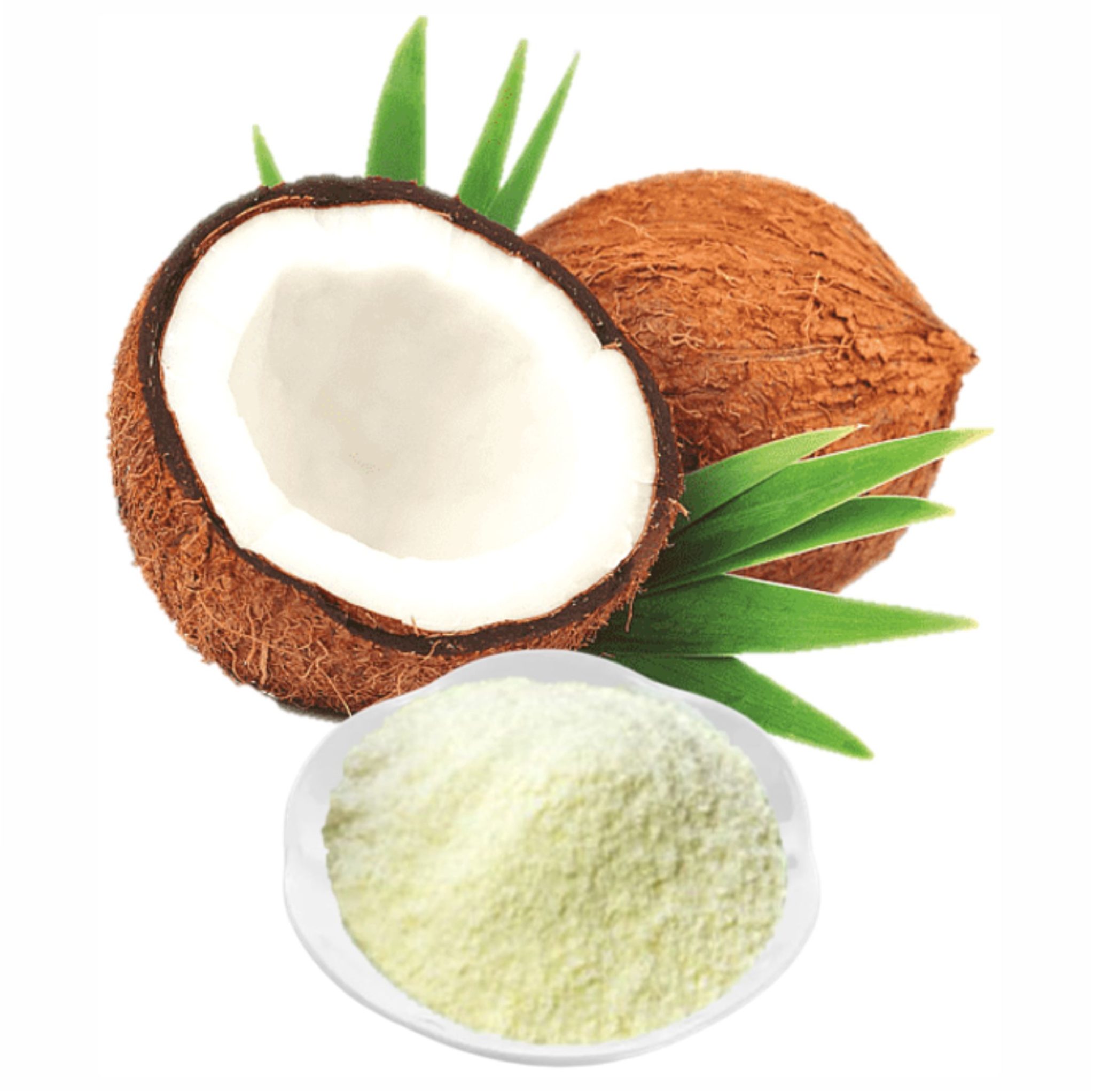ACEITE de COCO en polvo x 250g – Nutrydía Perú