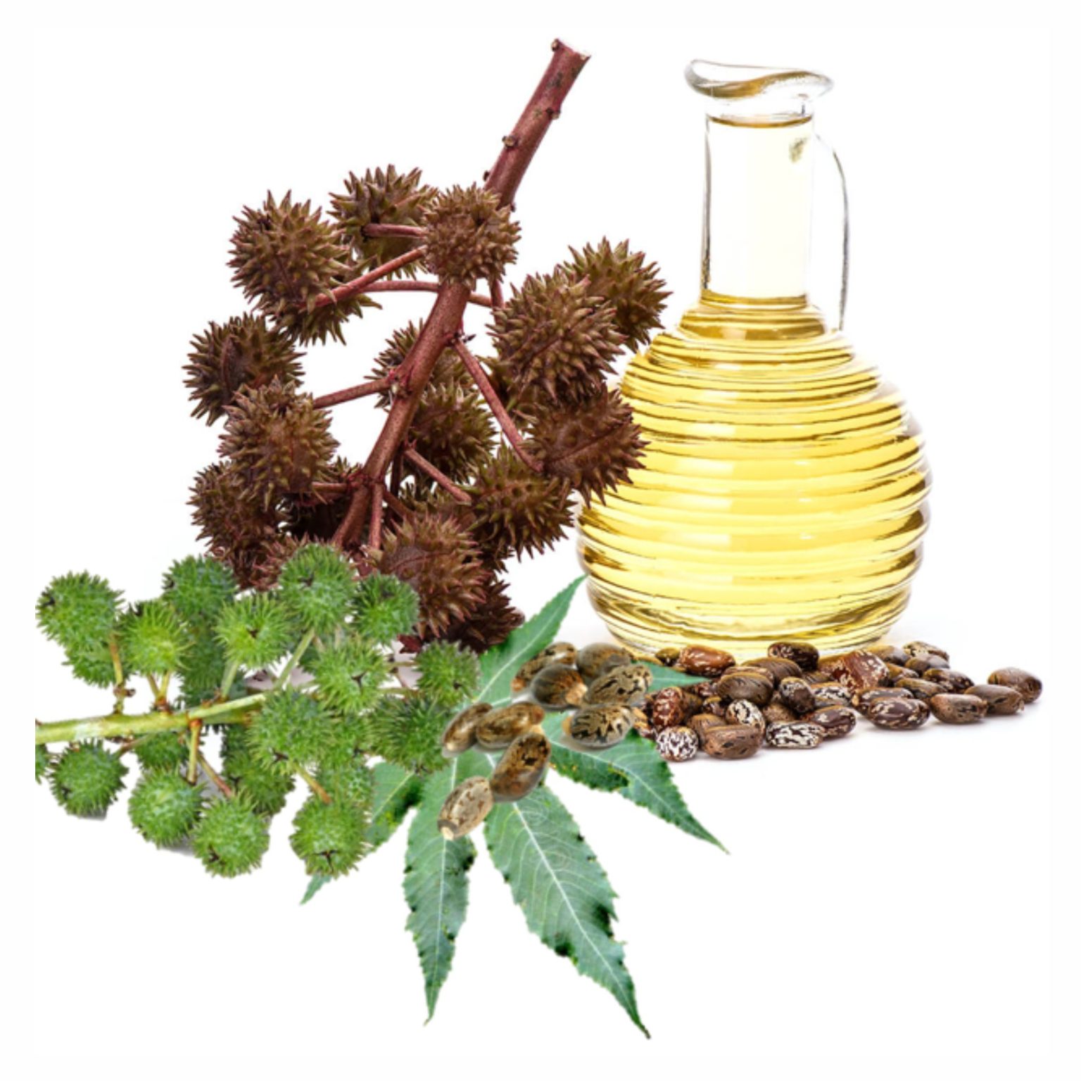 ACEITE de RICINO USP x 1L – Nutrydía Perú