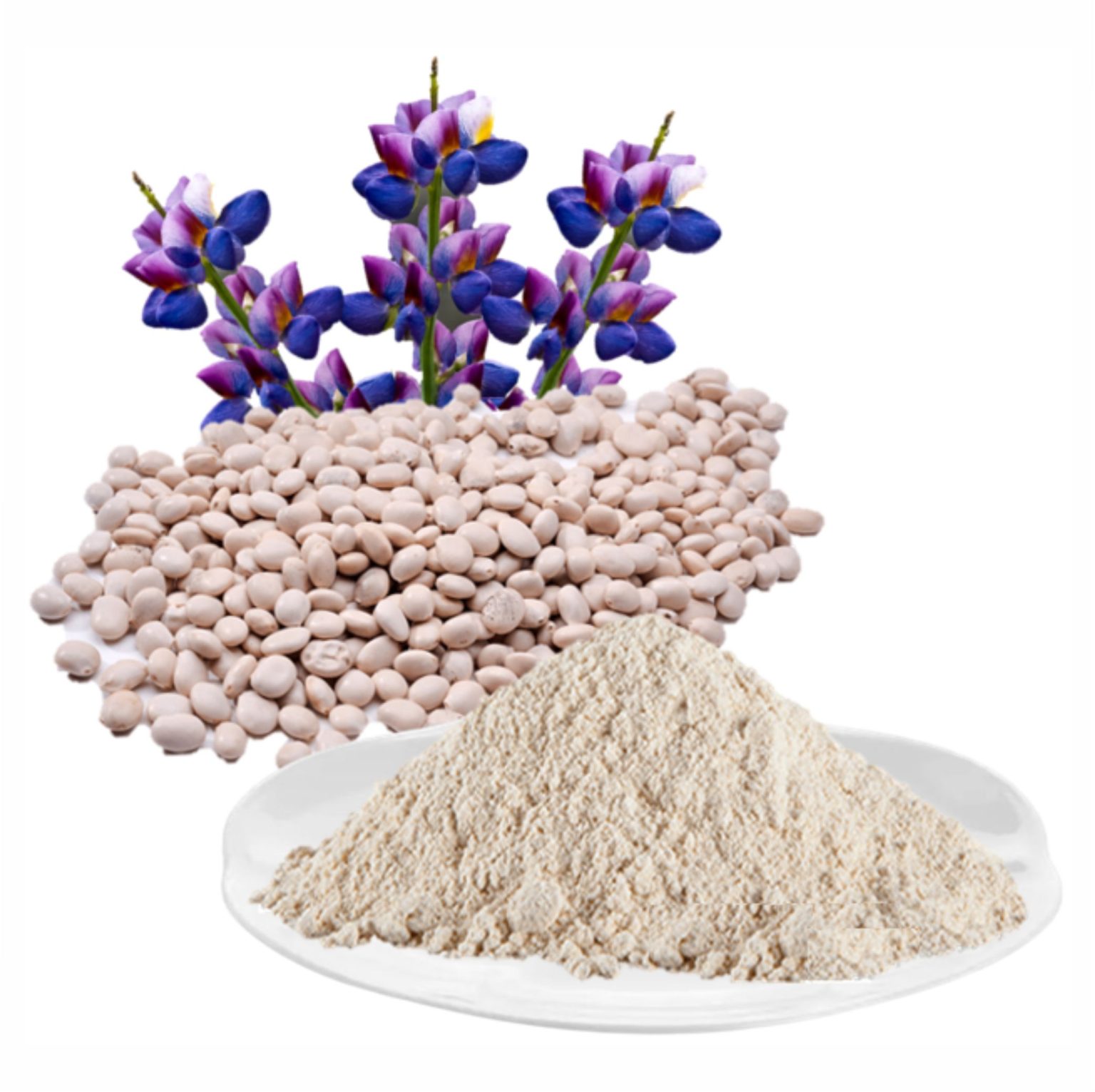 TARWI PROTEÍNA PURO en polvo x 1kg – Nutrydía Perú