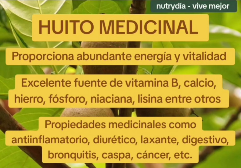 HUITO – Nutrydía Perú